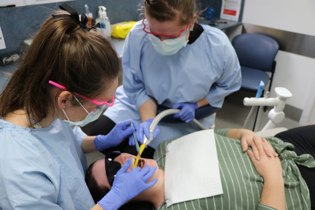 A Career in Community and Health | Work & Training | Tasmania